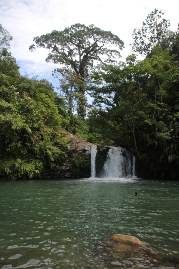 Rotokas – Numa Track | Rotokas Ecotourism